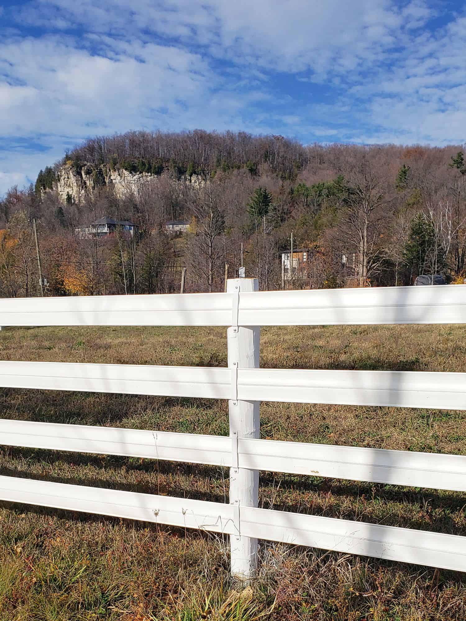 5" Flex Fence PLUS 660' - System Equine