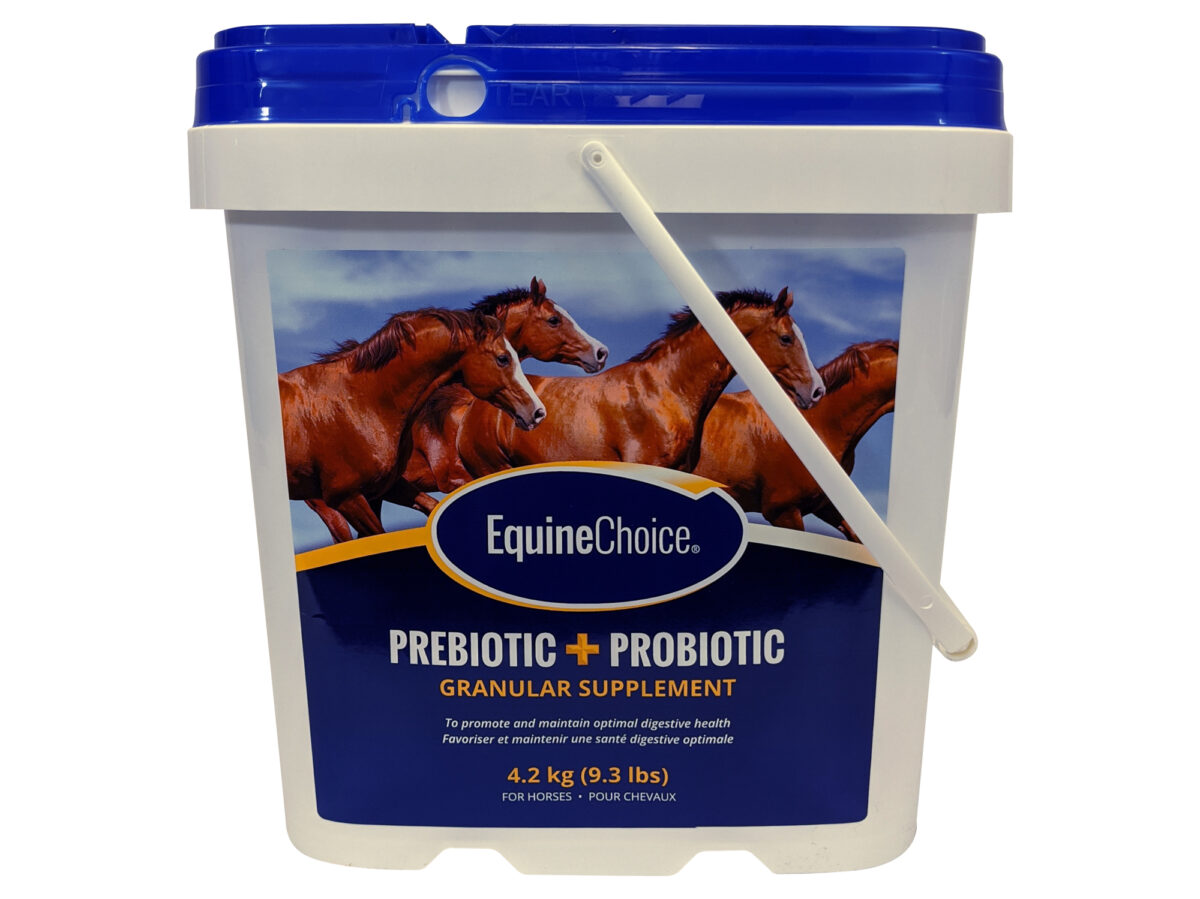Best Horse Supplements - Harness Optimal Horse Health