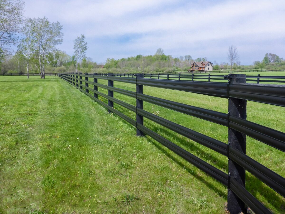 The Ultimate Guide to Choosing the Right Horse Stalls for Your Barn