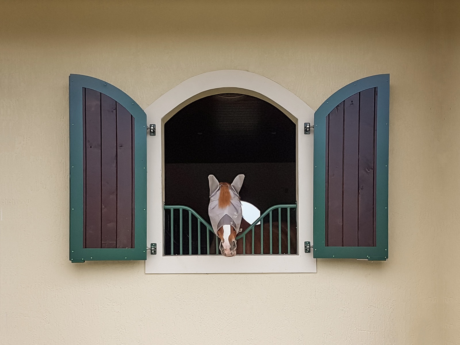 How To Choose The Perfect Barn Window - System Equine