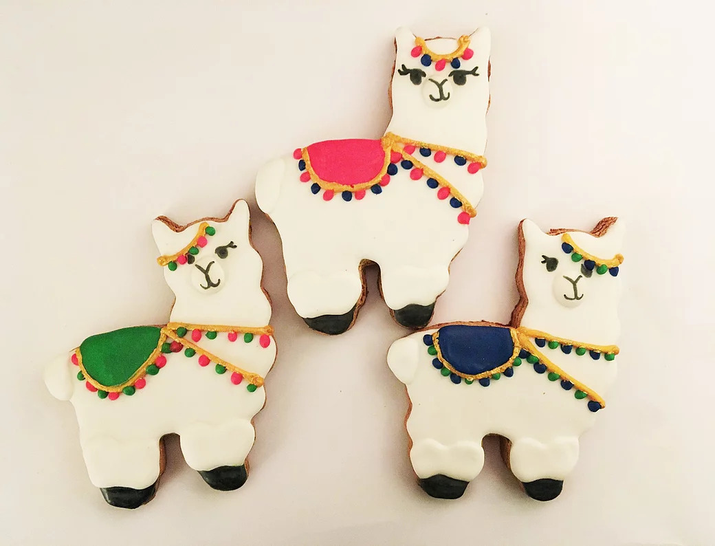 Northern Equestrian Co. - Drama Llamas - System Equine