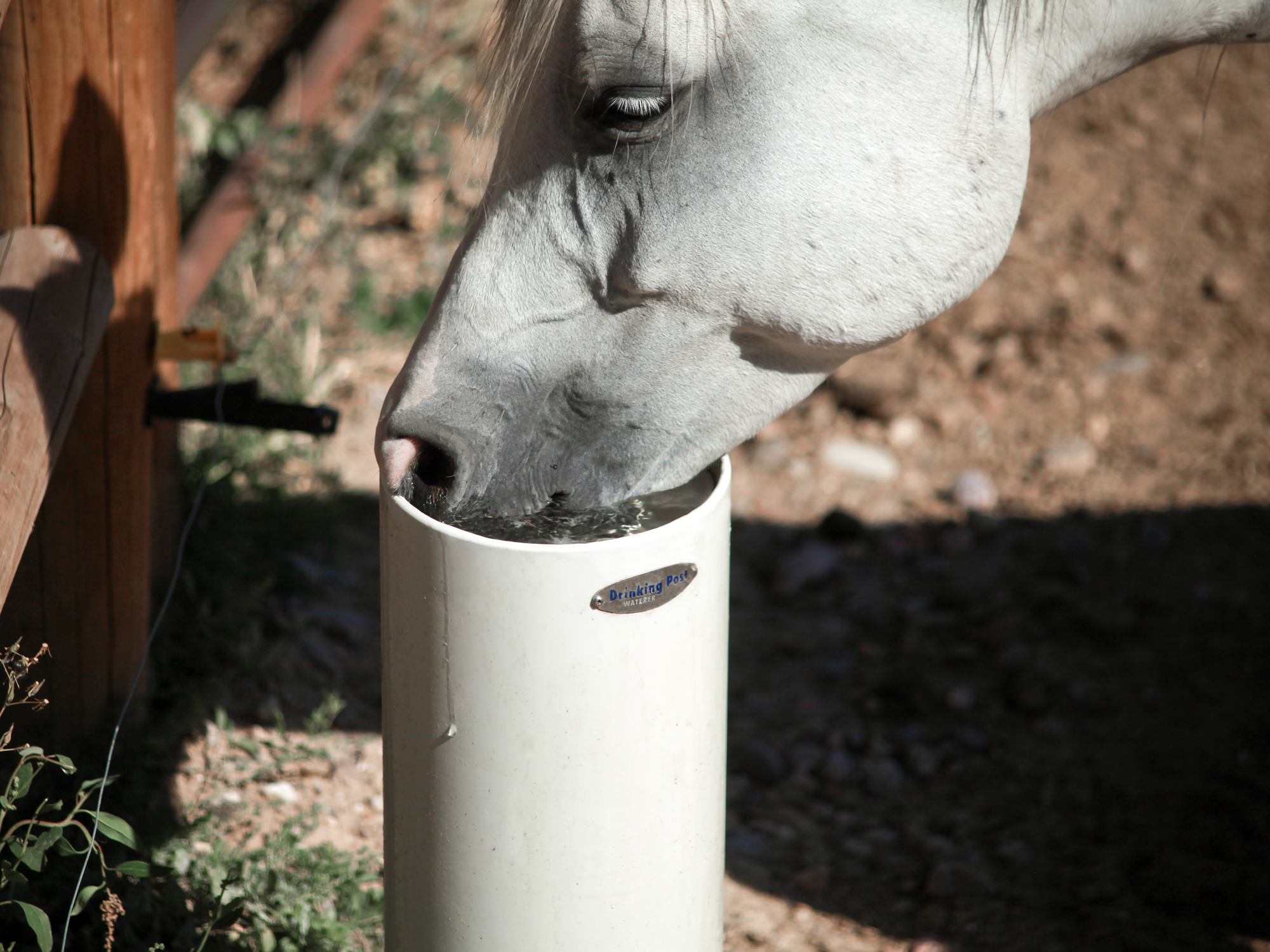 Your Ultimate Guide to Livestock Watering Systems in 2026
