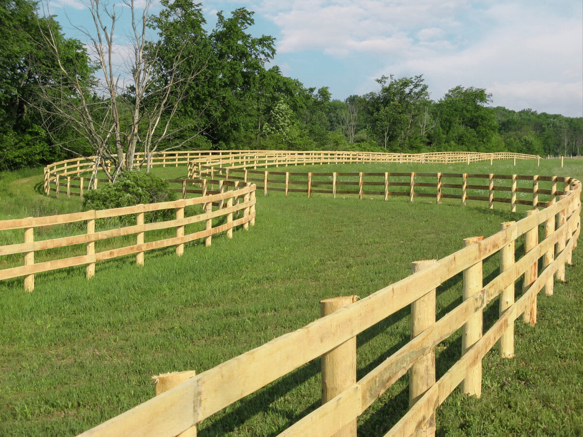 Is The Paddock Paradise System Right For Me?