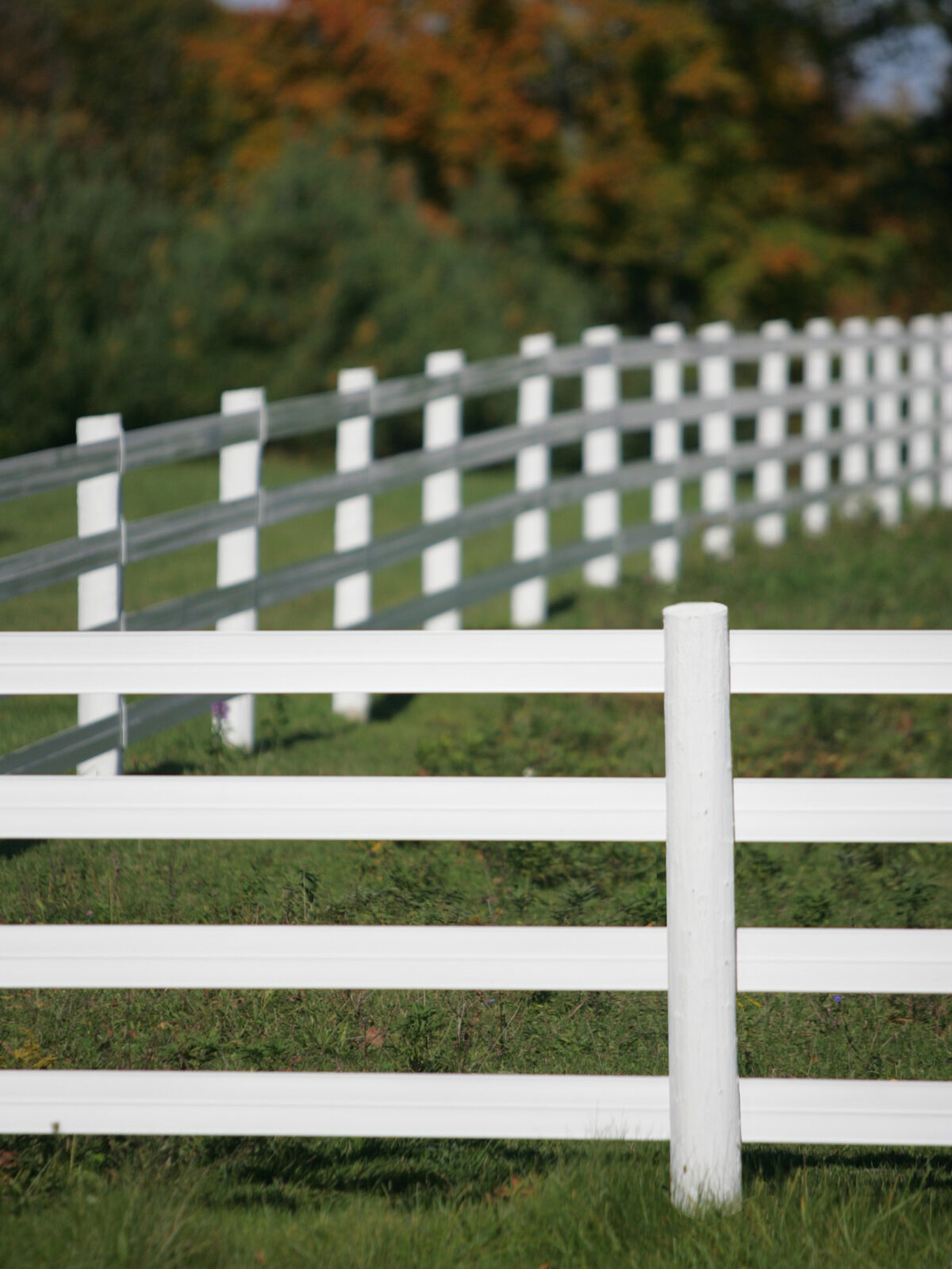 Quality Horse Fencing - Shop Now For The Best Options
