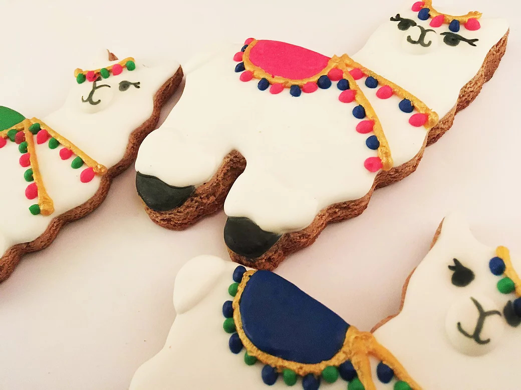 Northern Equestrian Co. - Drama Llamas - System Equine