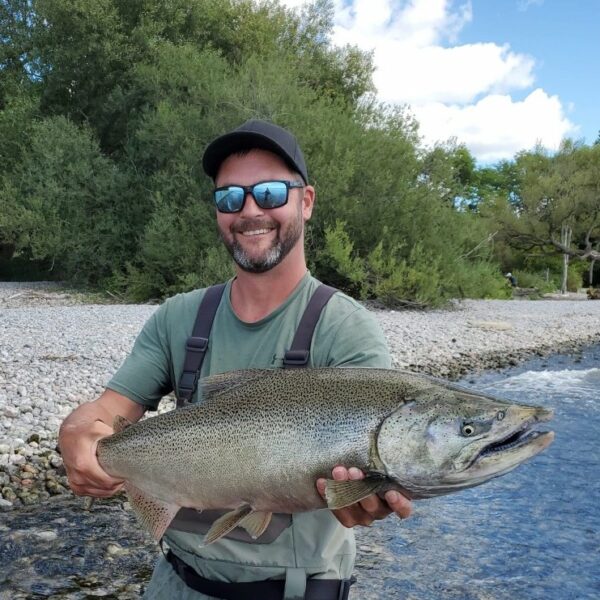 Derek Wyatt - System Equine