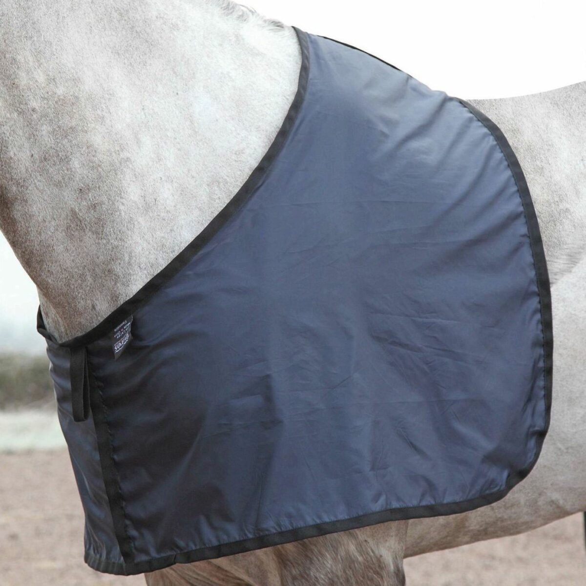 Top-Quality Horse Blankets - Keep Your Horse Cozy