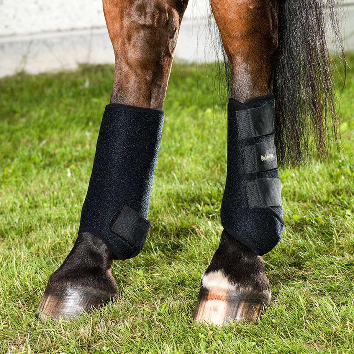 Shop The Best Boots And Wraps For Your Horse