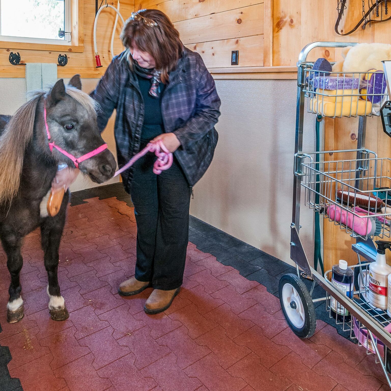 Best Tack Room Equipment - Maximize Storage & Organization