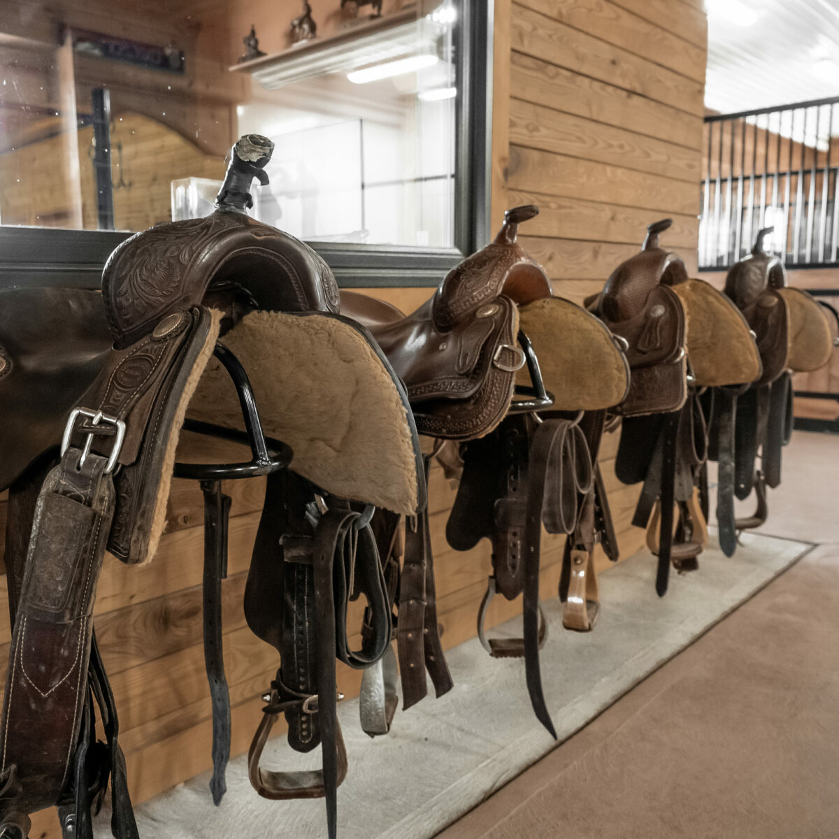 Best Tack Room Equipment - Maximize Storage & Organization