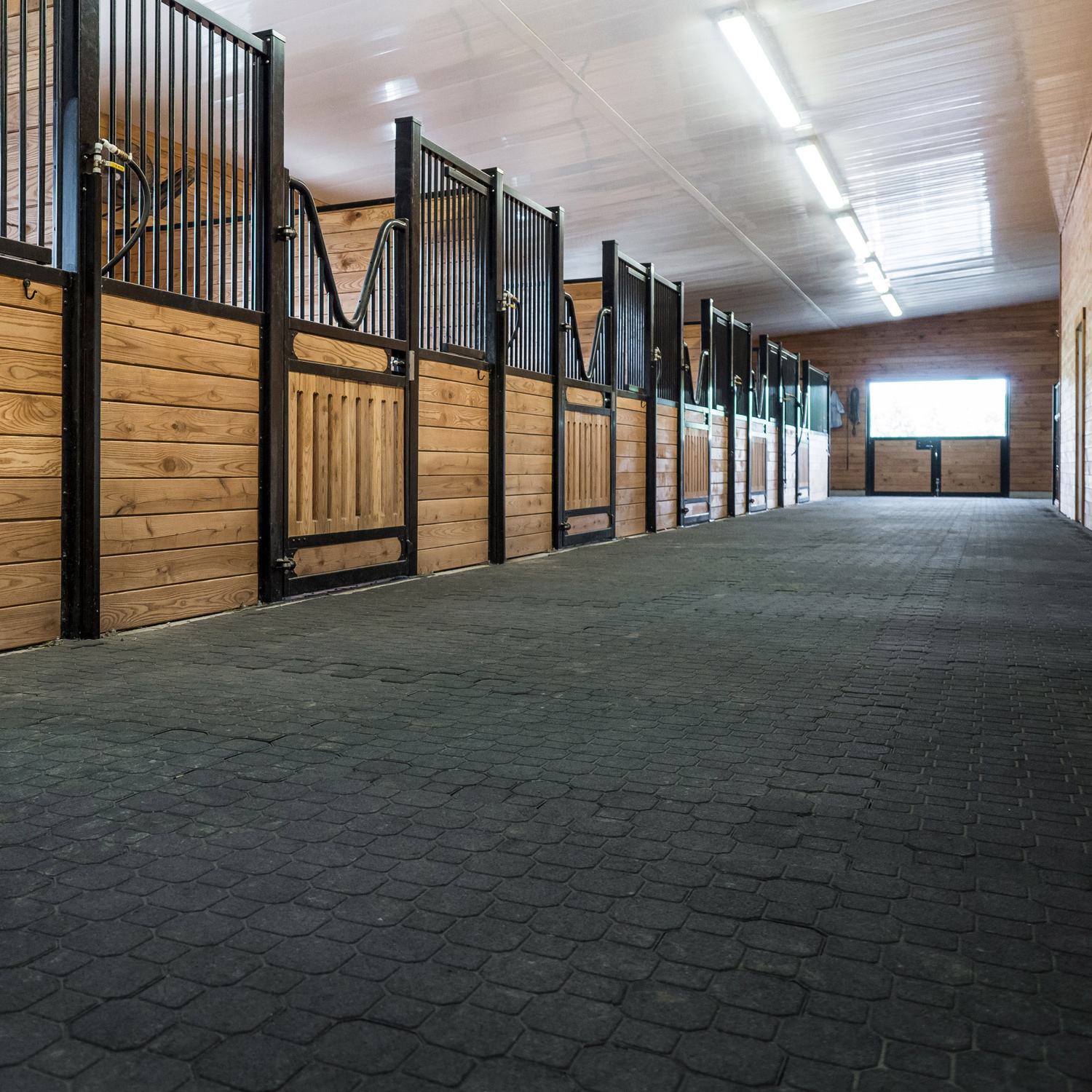 Floors, Walls & Ceiling - Revolutionize Your Horse's Comfort
