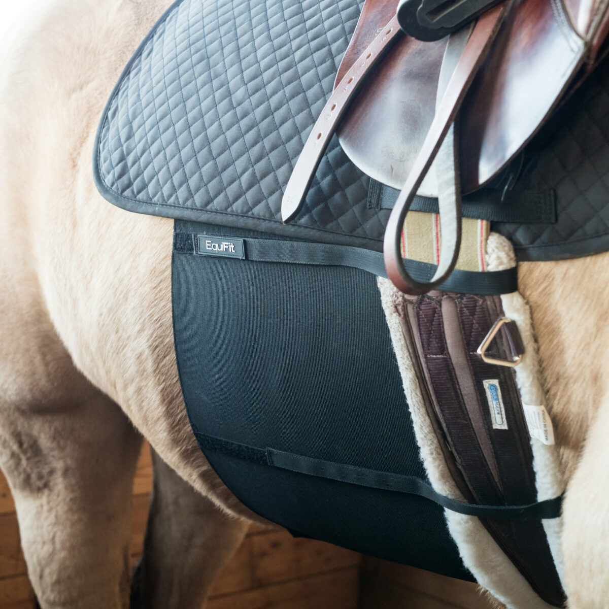 Premium English Tack - Stylish & Durable Equine Essentials