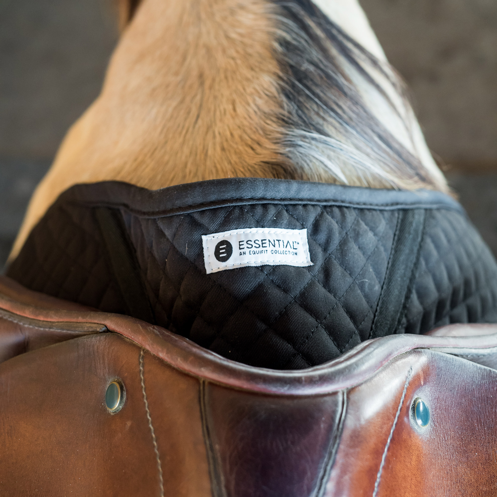 Premium English Tack - Stylish & Durable Equine Essentials