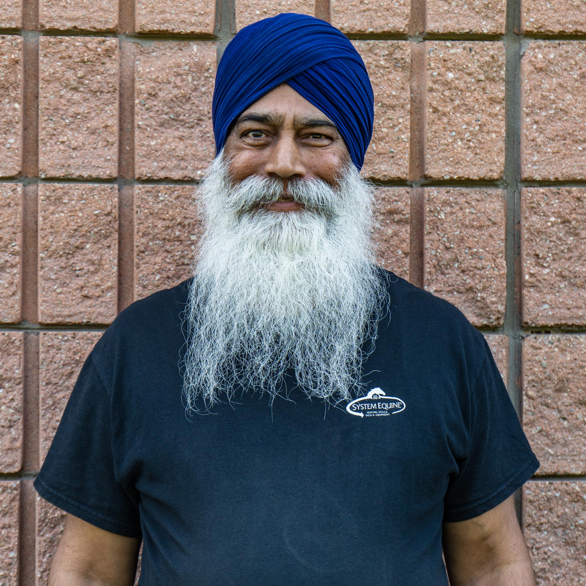 Jagdev Singh - System Equine