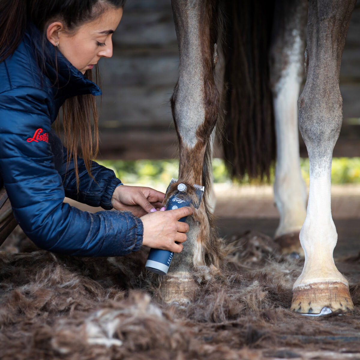 Top Grooming Supplies - Enhance Your Horse's Health & Beauty