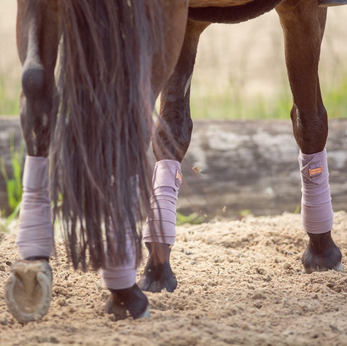 Shop The Best Boots And Wraps For Your Horse