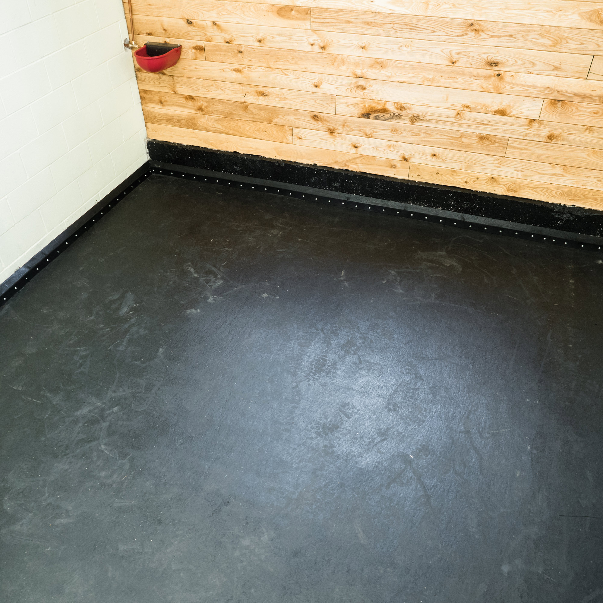 Floors, Walls & Ceiling - Revolutionize Your Horse's Comfort