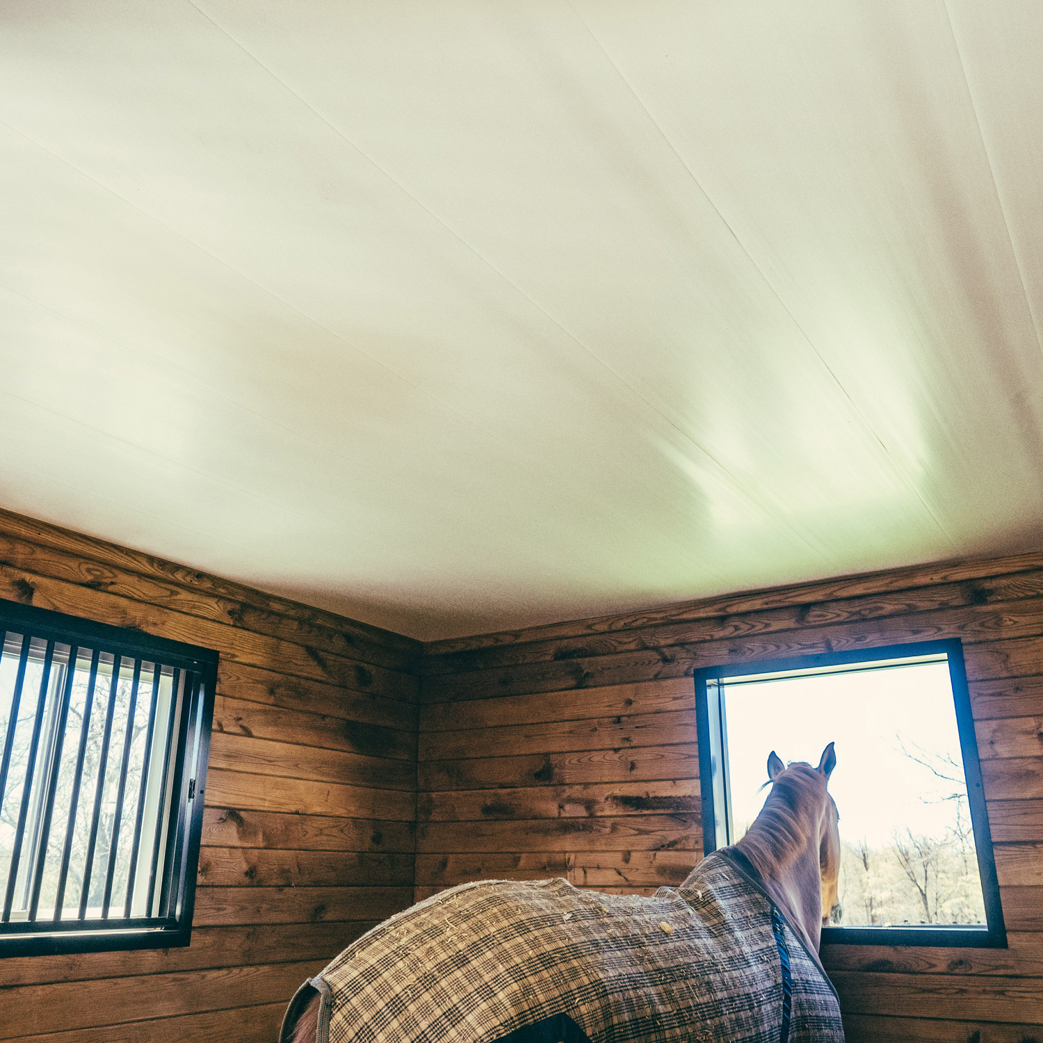 Floors, Walls & Ceiling - Revolutionize Your Horse's Comfort