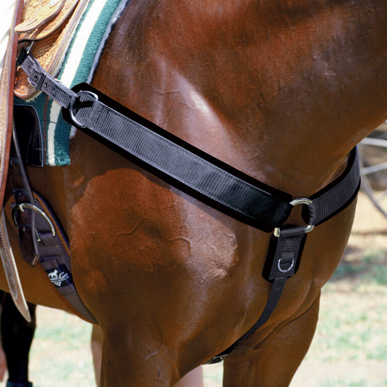 Western Tack - Shop For Headstalls, Bits, Cinches & More
