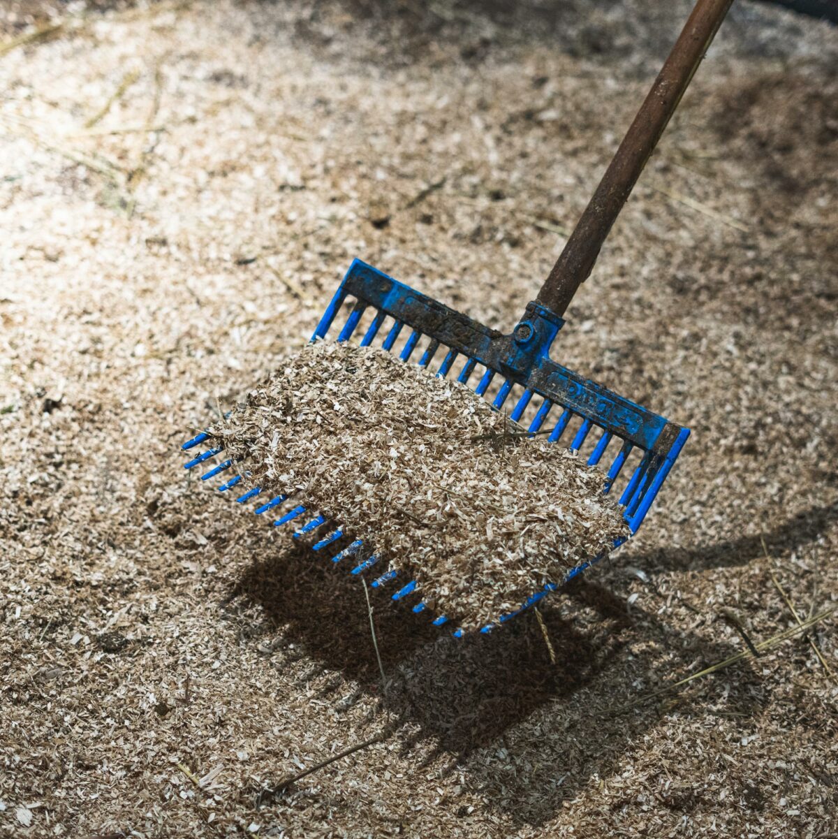 Mucking and Cleaning - Keep Your Barn Clean & Efficient