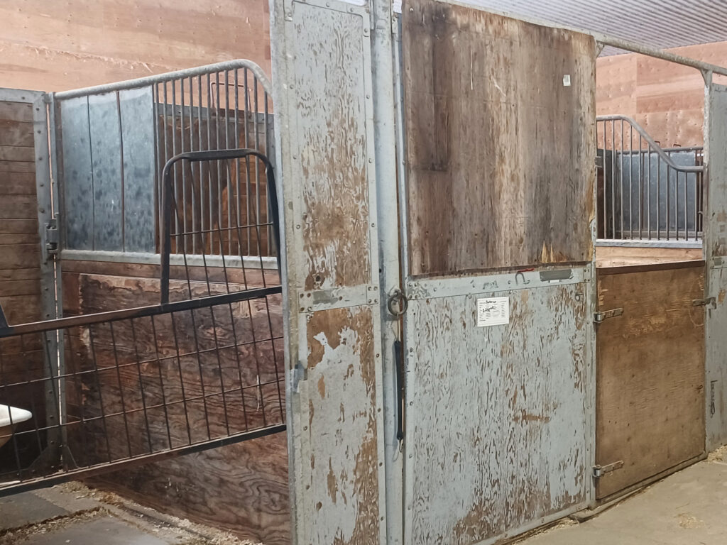 Gregg McNair Stable - System Equine