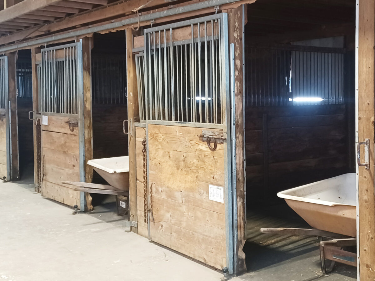 Gregg McNair Stable - System Equine