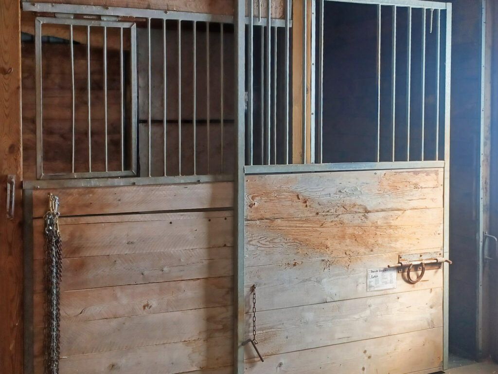 Gregg McNair Stable - System Equine