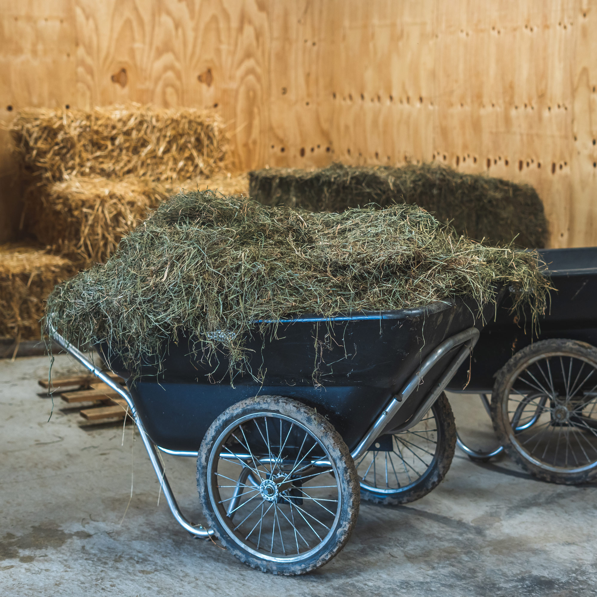 Mucking and Cleaning - Keep Your Barn Clean & Efficient