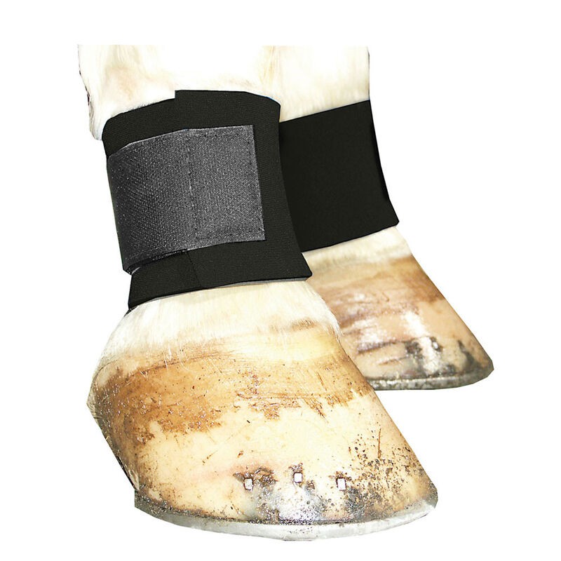 Neoprene Pastern Wraps - System Equine