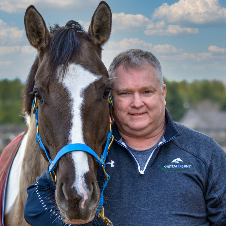 Todd Stewart - System Equine