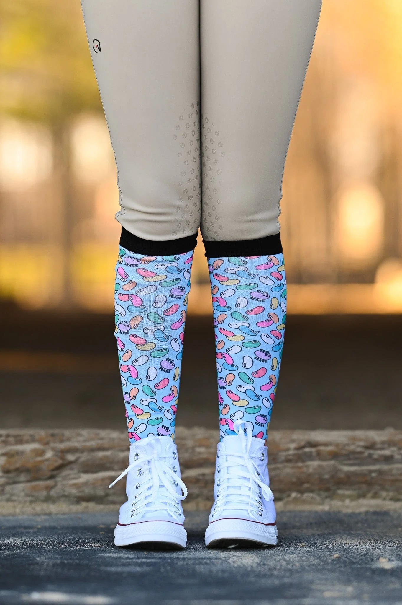 Dreamers & Schemers Socks - System Equine