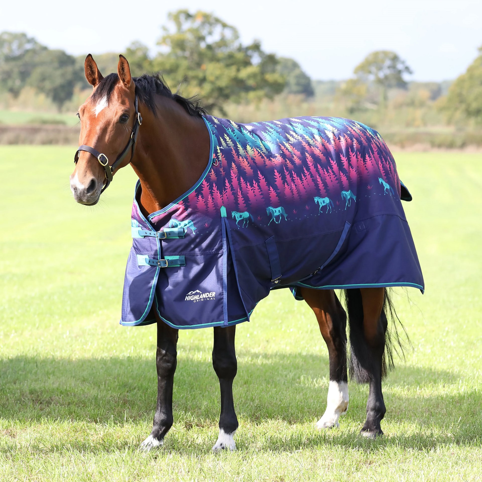 Shires Tempest Lite Blanket - System Equine