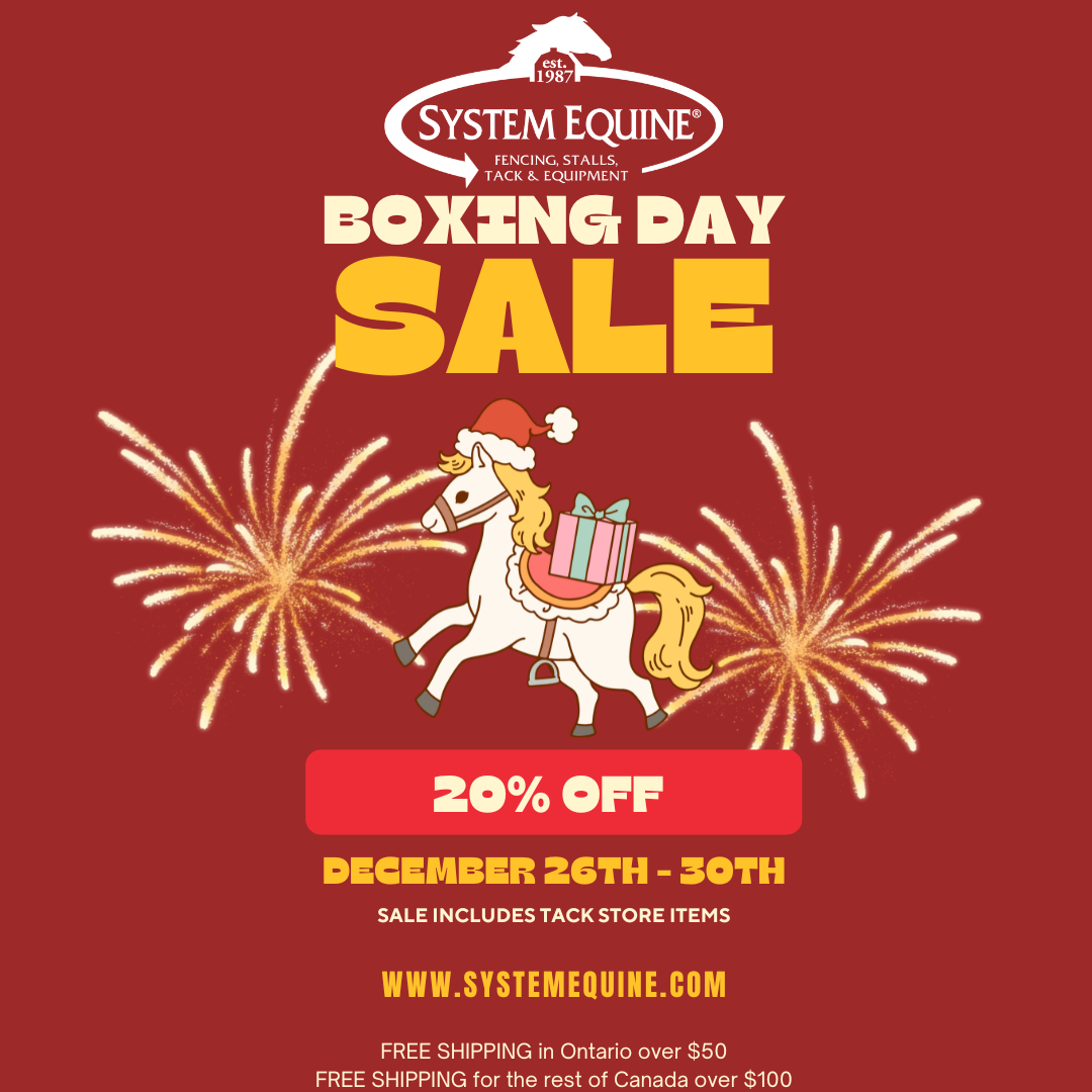 About Us - System Equine