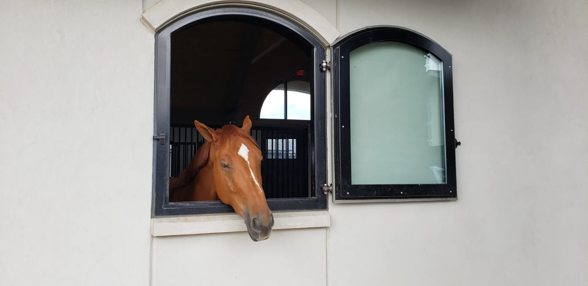 Best Barn Windows for Horse Barns: Sliding, Hinged & Shutter Styles